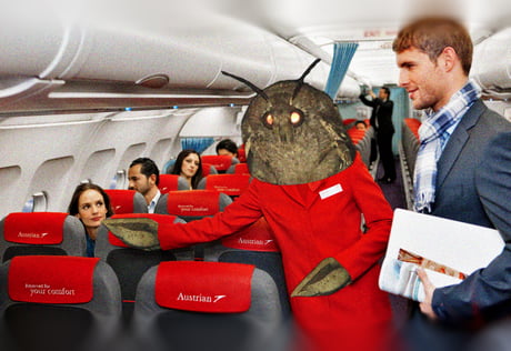 20 Airplane Memes That Will Leave You Laughing For Days Sayingimagescom