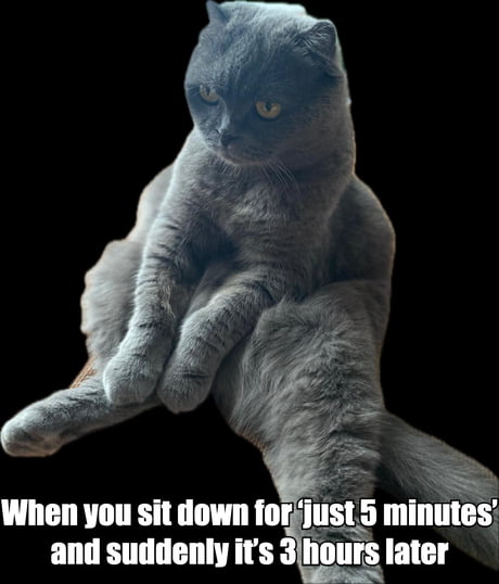 Best Funny sit Memes - 9GAG