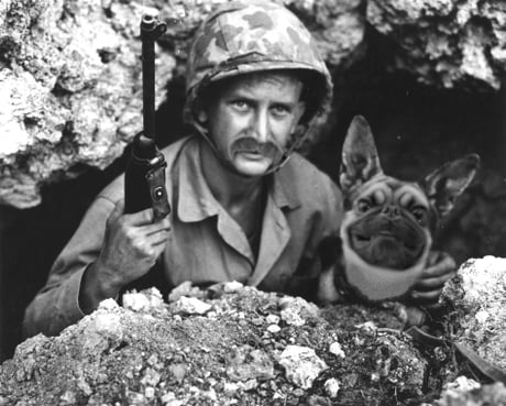 Best Funny trench Memes - 9GAG