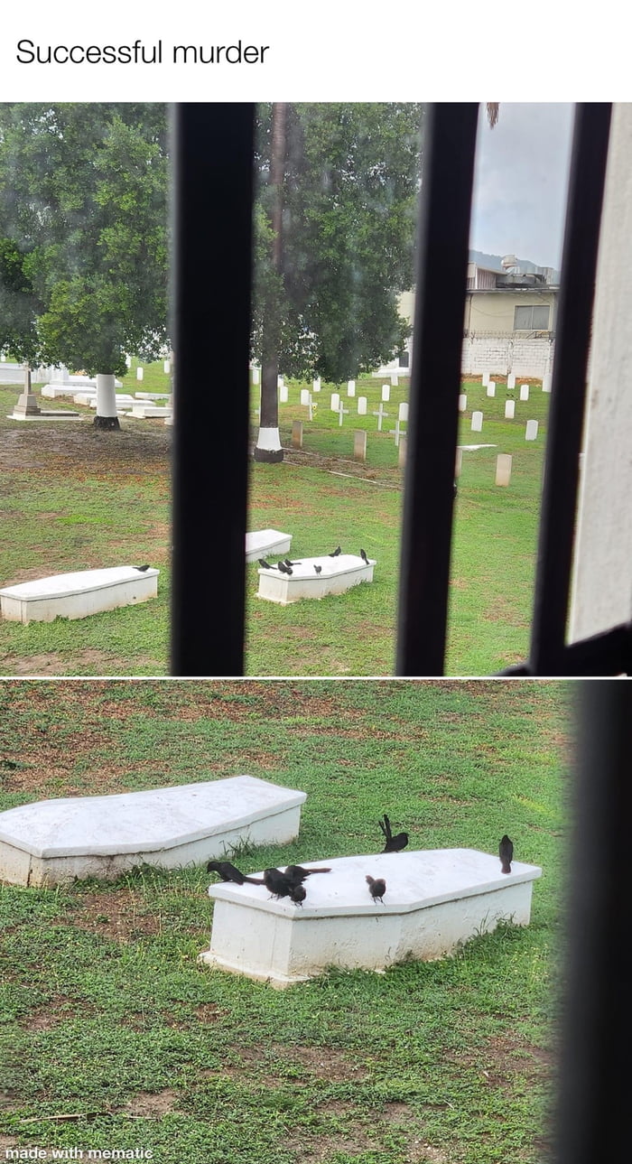 I’m sure they have probable caws - 9GAG