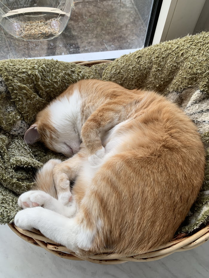 Best mid day activity - 9GAG