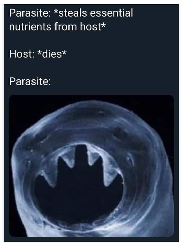 Surprise parasite face - 9GAG