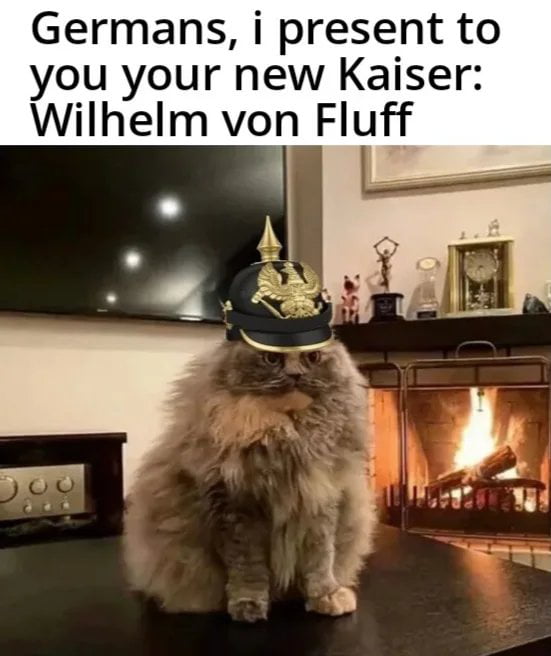 All Hail Von Cat! - 9GAG