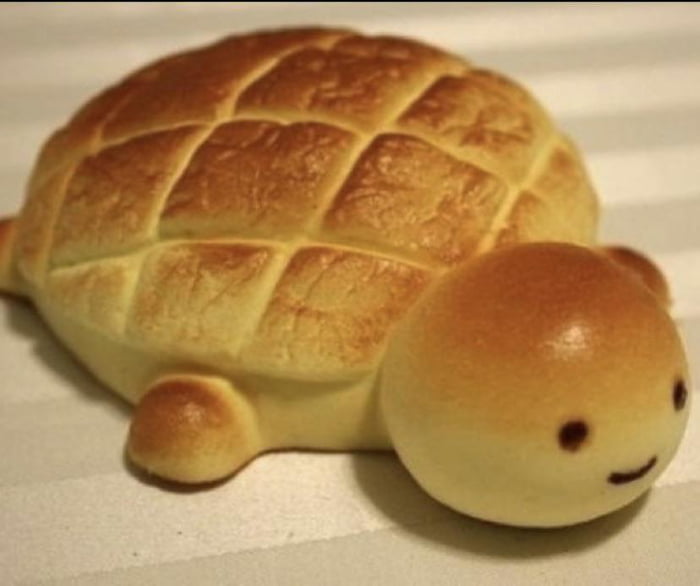 Turtle pastry - 9GAG