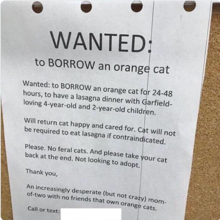 Garfield wanted - 9GAG