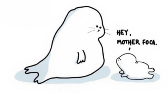 Mother foca - 9GAG