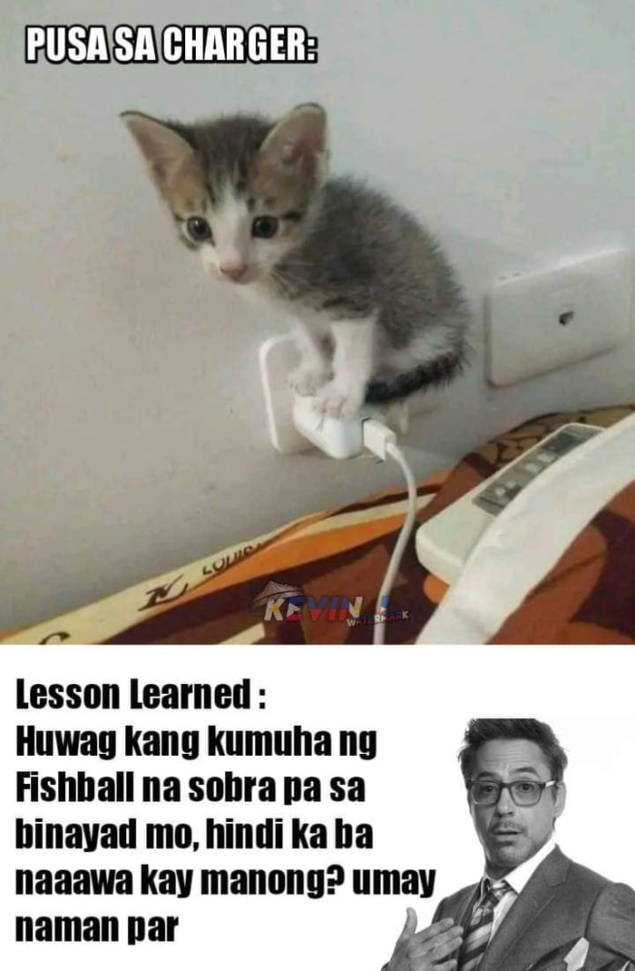 Pusa - 9GAG