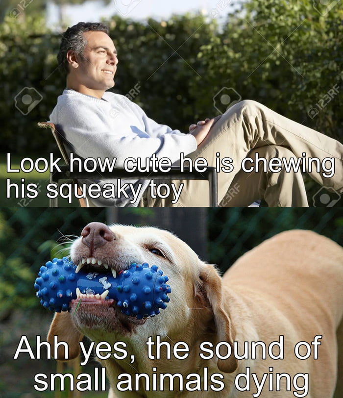 Good boy - 9GAG