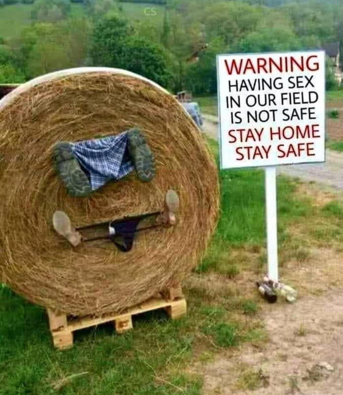 That’s what you call a proper roll in the hay! - 9GAG