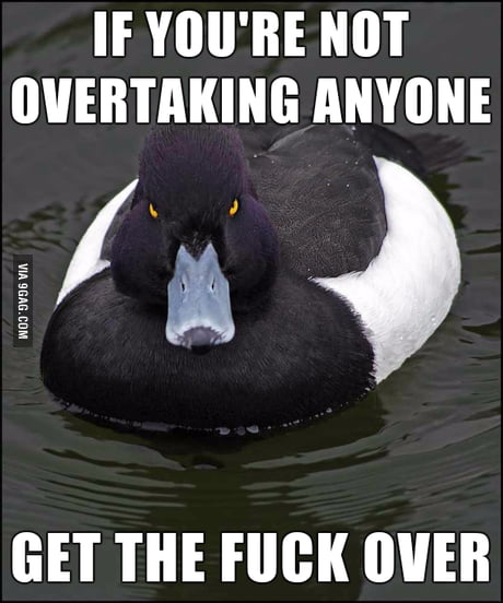 Georgia Wildman - 9GAG