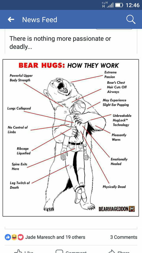 Best Funny bear hug Memes - 9GAG