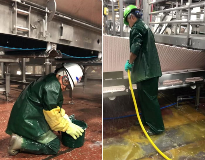 Children cleaning a meat packing plant overnight while employed by ...