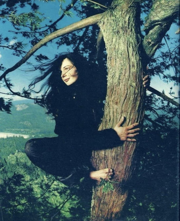 Julia “Butterfly” Hill spent 738 days atop on an ancient 1500 year old ...