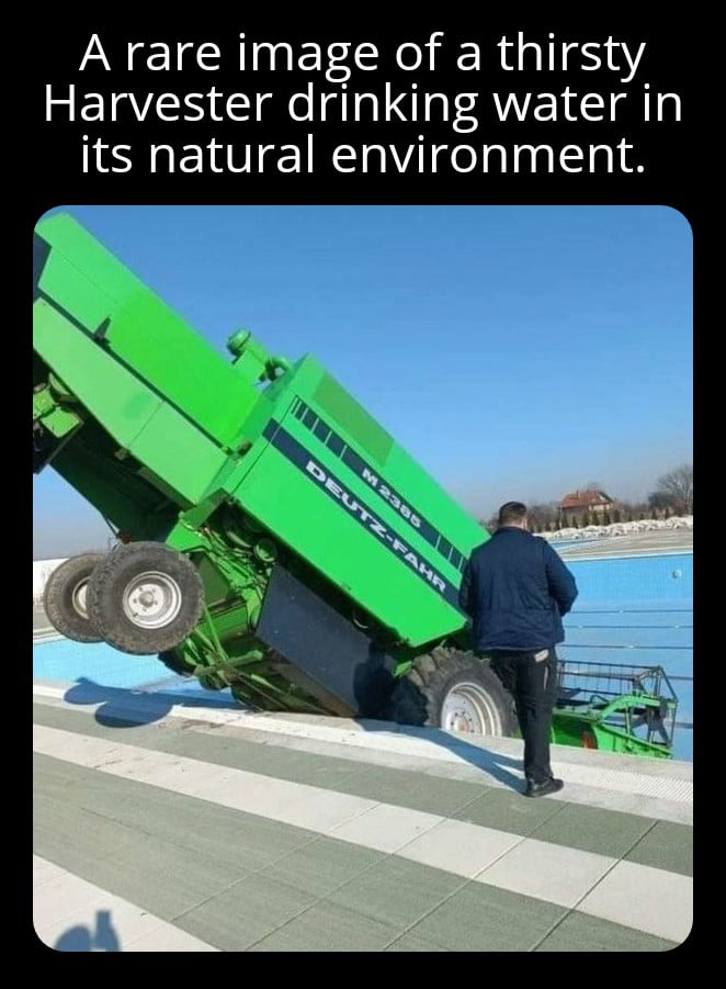 Fascinating behavior indeed. - 9GAG