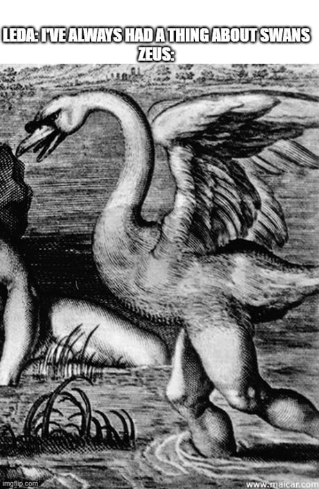 Best Funny centaur Memes - 9GAG