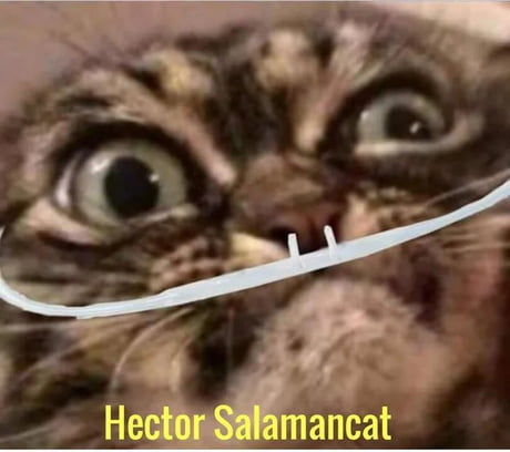 Breaking Bad Memes Hector