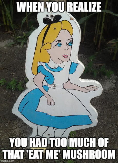 Alice In Wonderland Funny
