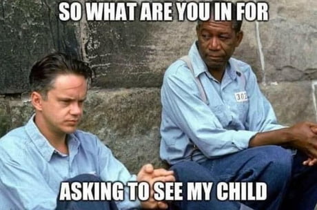 Parental Alienation Meme