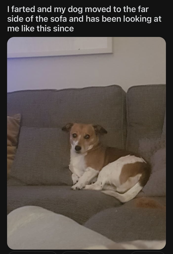 Scared and concerned - 9GAG