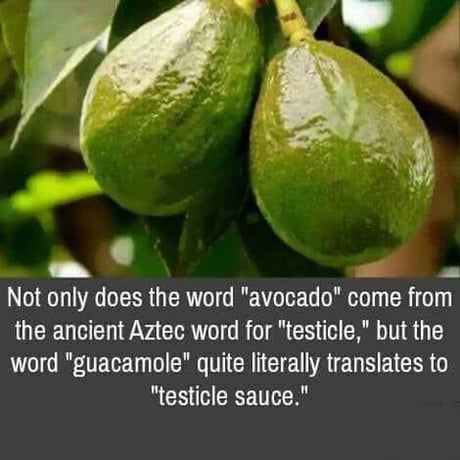 Best Funny avocado Memes - 9GAG