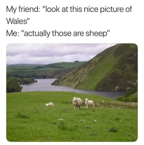 Best Funny wales Memes - 9GAG