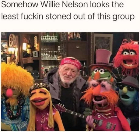 Best Funny muppet Memes - 9GAG