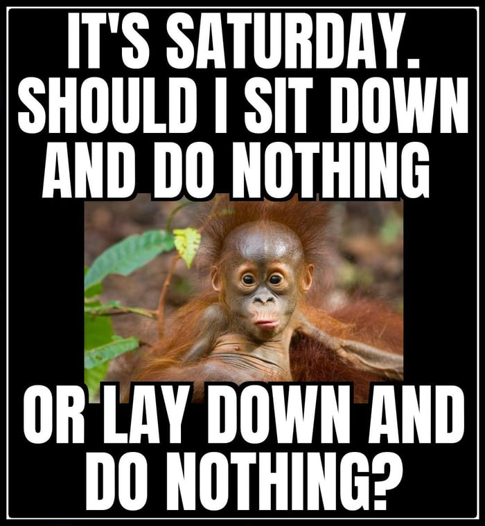 Saturday humor - 9GAG