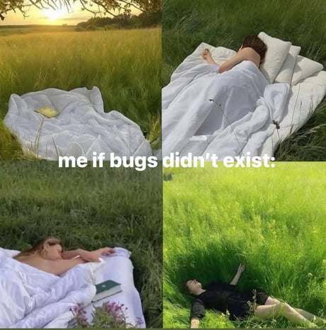 Best Funny bugs Memes - 9GAG