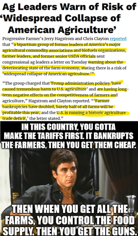 Lustige Scarface Memes