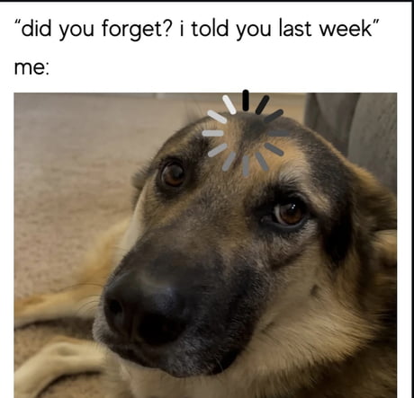 Memes About Memories Best Funny Memories Memes 9GAG