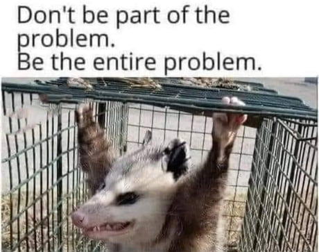 Best Funny possum Memes - 9GAG