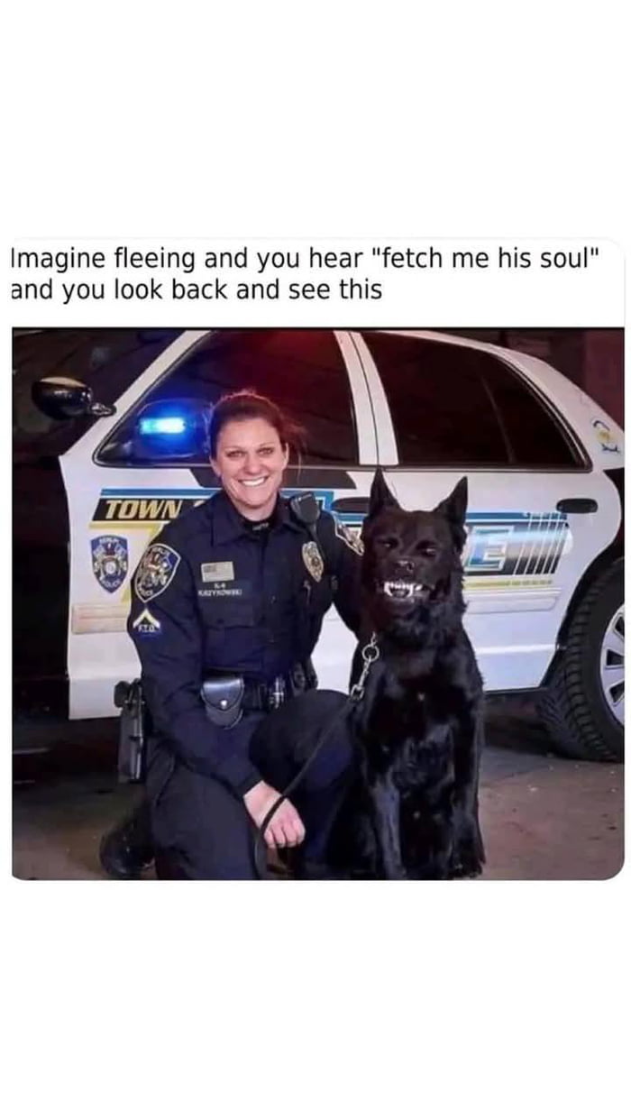 What a Good Boy! - 9GAG