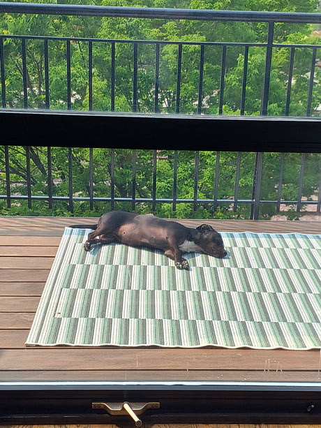 Best Funny sunbathing Memes - 9GAG