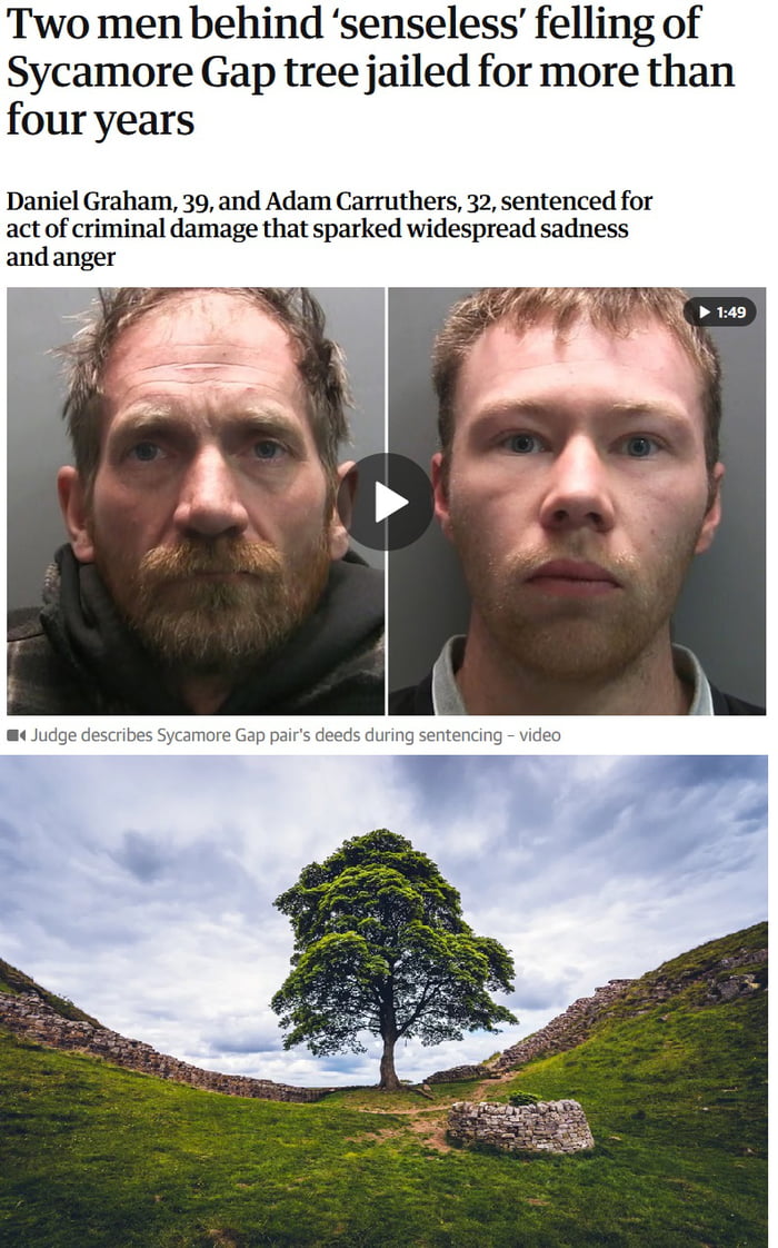 The most loved and photographed trees in the UK - 9GAG