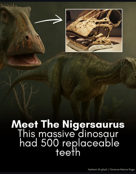 Best Funny teeth Memes - 9GAG