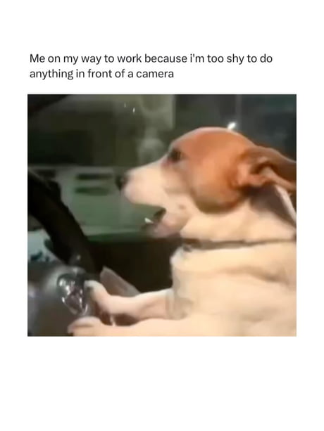 Best Funny shy Memes - 9GAG