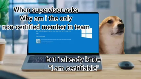 Bsod Memes