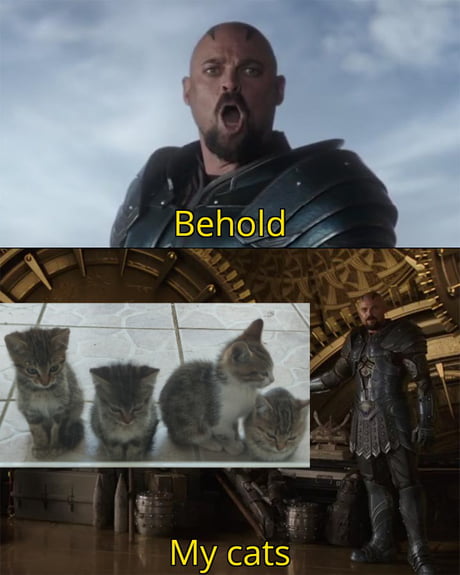 Best Funny meow Memes - 9GAG
