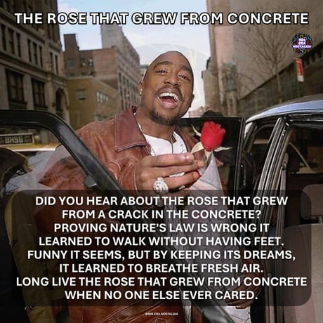 Concreter Memes