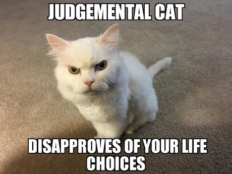 Best Funny judgement Memes - 9GAG