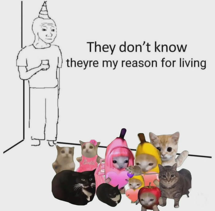 Finding joy in the little things, or in this case, the fluffy things ...