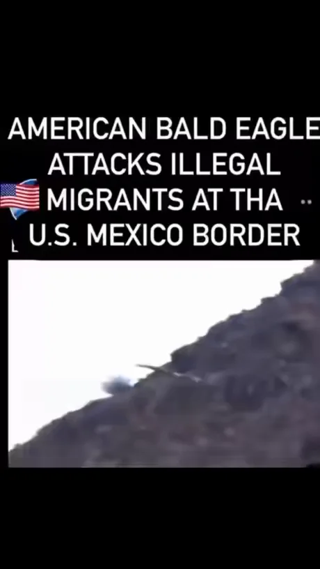 Memes De Imigrantes