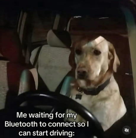 Memes Bluetooth