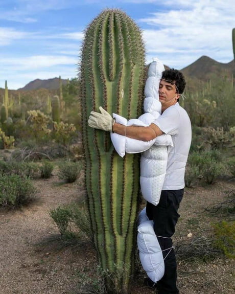 Best Funny cactus Memes - 9GAG