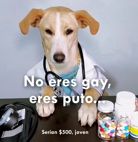 Eres Puto Guey Memes