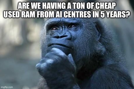 Best Funny gorilla Memes - 9GAG