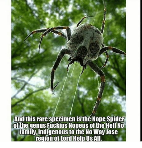 Best Funny nope Memes - 9GAG