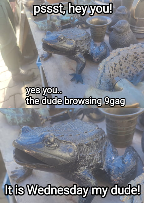 Best Funny aaaaaaaaaaaaaaaaaaaaaaaaa Memes - 9GAG