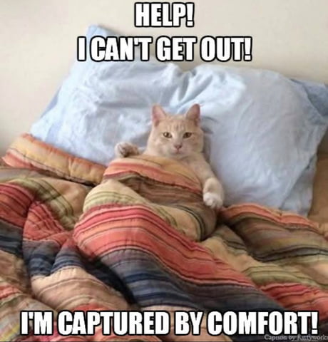 Memes About Laziness Best Funny Lazy Memes 9GAG