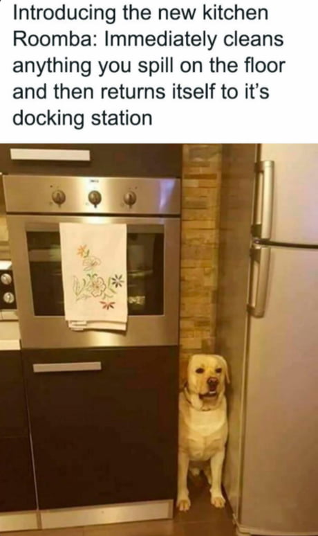 Best Funny kitchen Memes - 9GAG